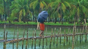 Chasing the Monsoons: Top 5 States in India to Enjoy the Rain