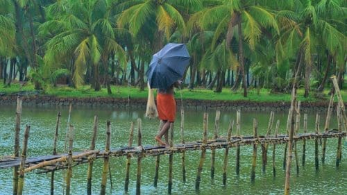 Chasing the Monsoons: Top 5 States in India to Enjoy the Rain