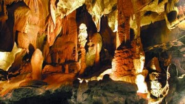 Check out Meghalaya for thrilling cave adventures!