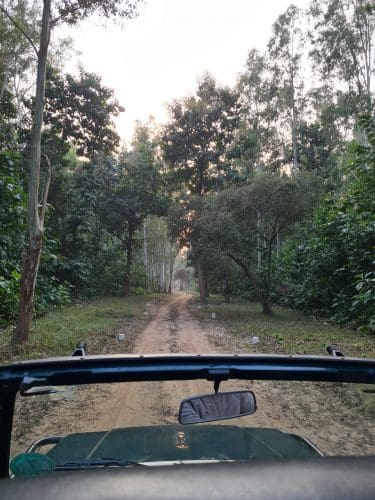 Discovering Pilibhit House as it relives a vibrant heritage and legacy