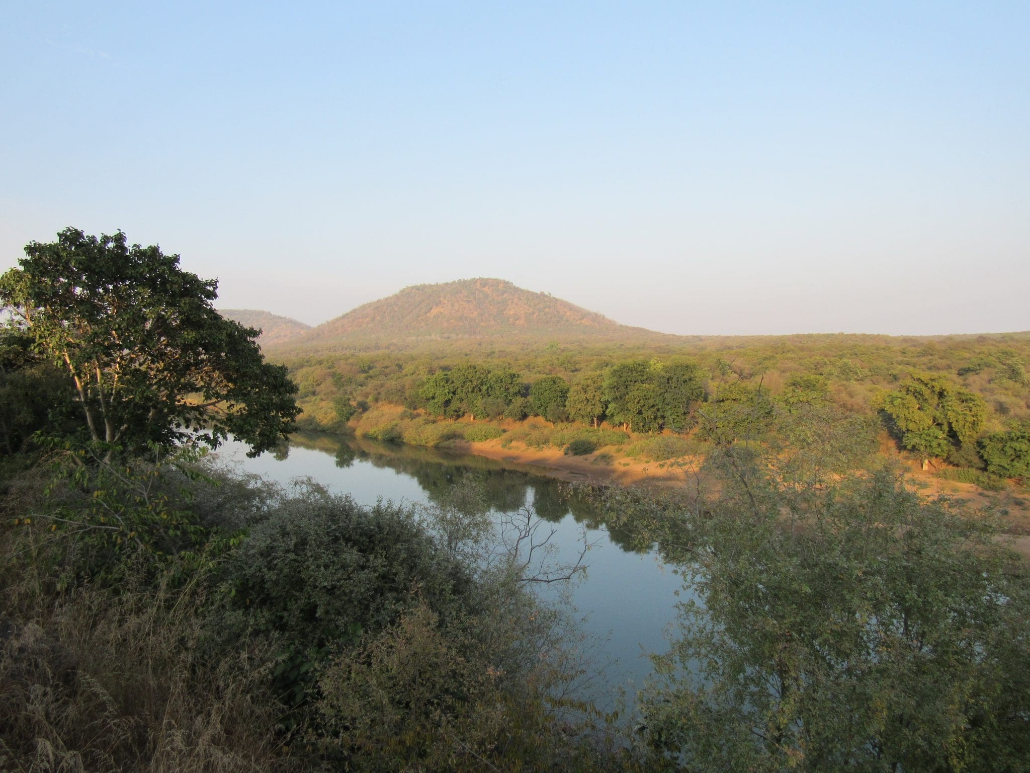 Kuno National Park on the world map after 8 big cats - cheetahs - make ...