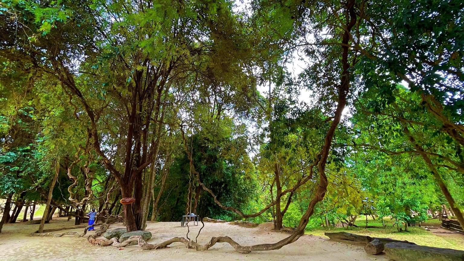 Discover Sri Lanka with Rajagala - a remote monastery with 600 pre ...