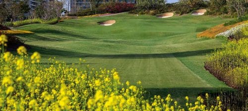 An Expat's guide to the 5 best Golf Courses in India