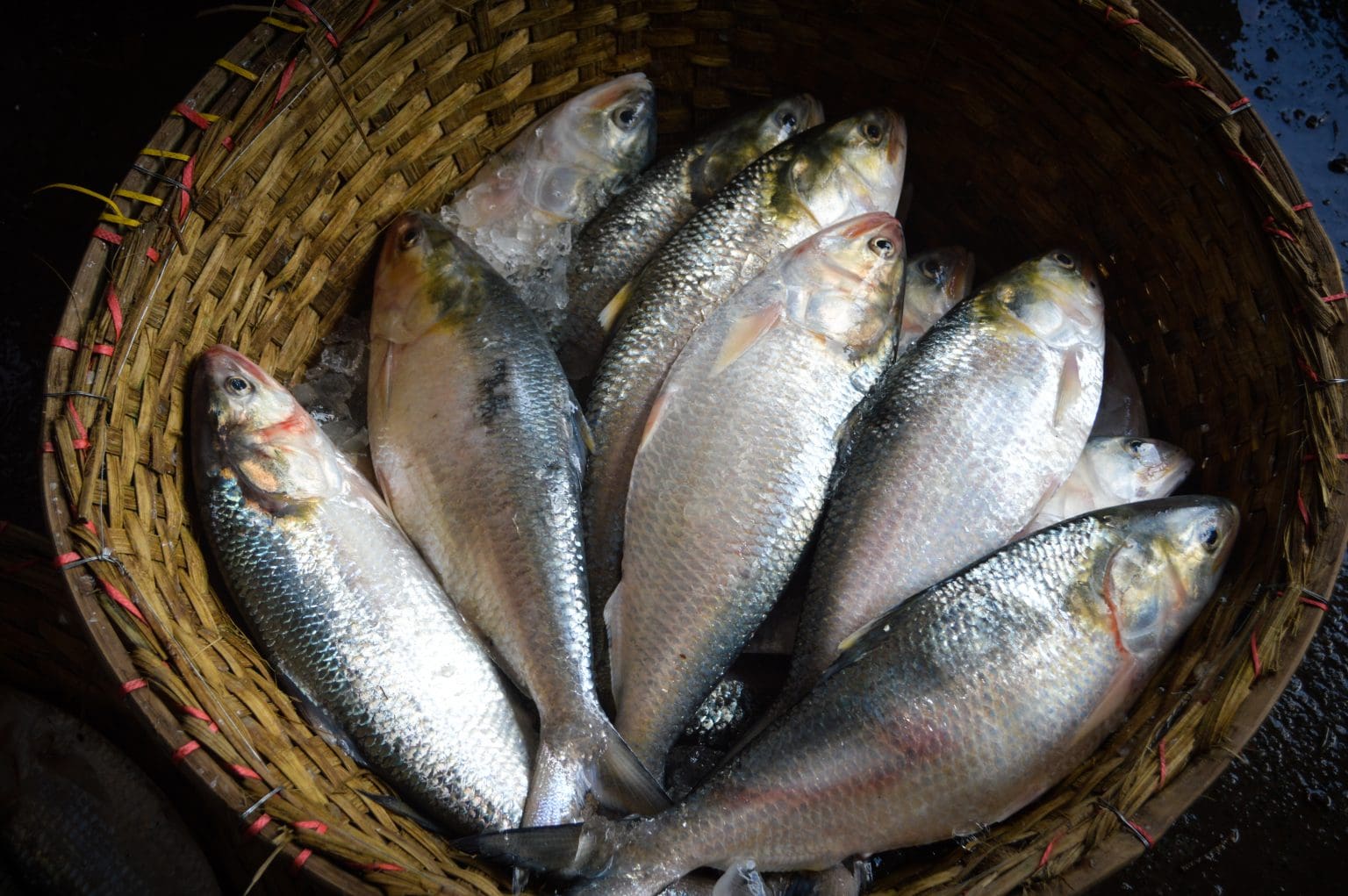 9 delicious Ilish dishes - the coveted fish that Bengal swears by