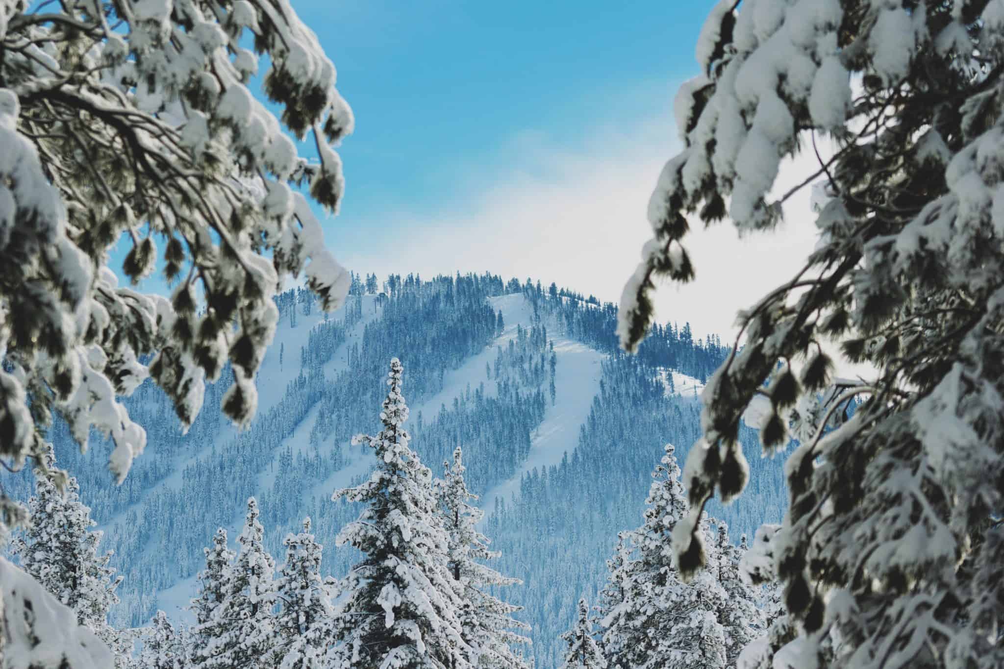 Hidden gem Patnitop: 5 must-visit places for travellers on a trip to ...