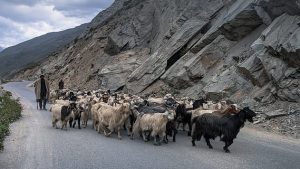 Best Heritage Villages of Himachal: 14 great places to explore