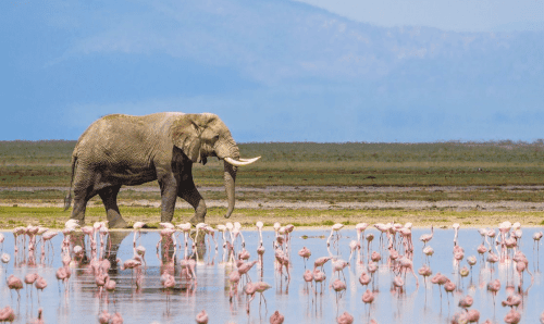 Escape the Haze: Unveiling 8 of Earth’s most beautiful and clean ...