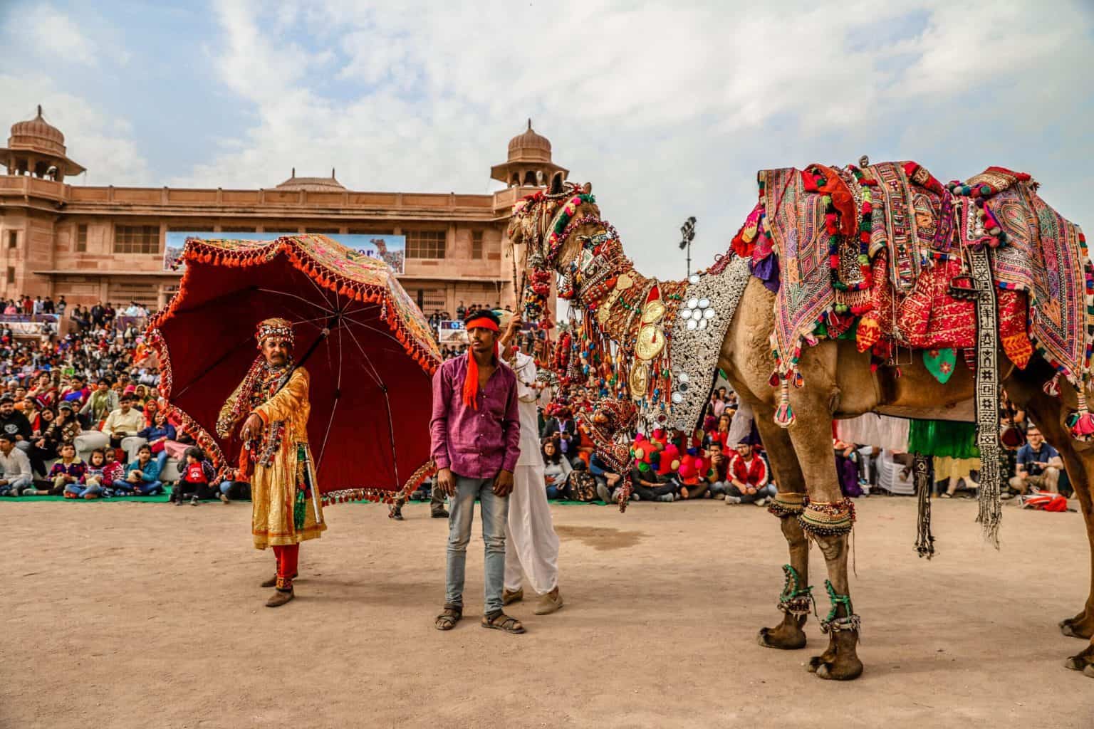 Celebrating Heritage: 7 of India's Vibrant January Festivals