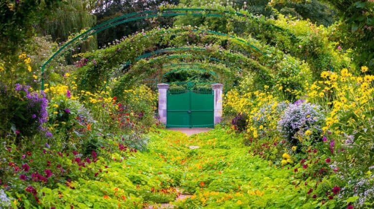 5 Most Beautiful Flower Fields Around the World