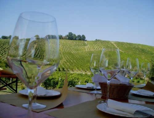 Sip and Savor: 7 Famous Vineyards to Visit During the September Harvest