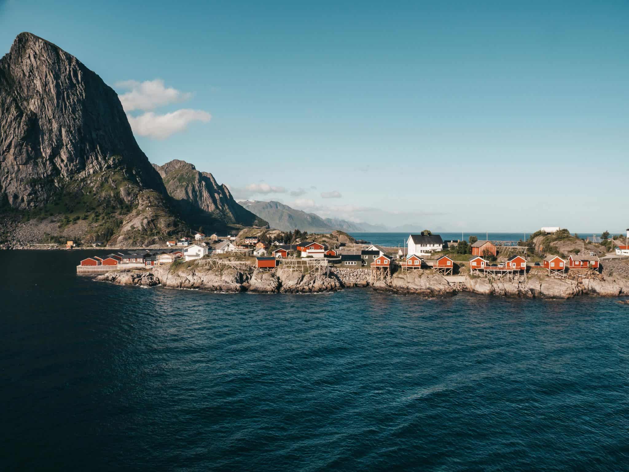 Foraged Feasts: 7 Culinary Journeys into the Wild