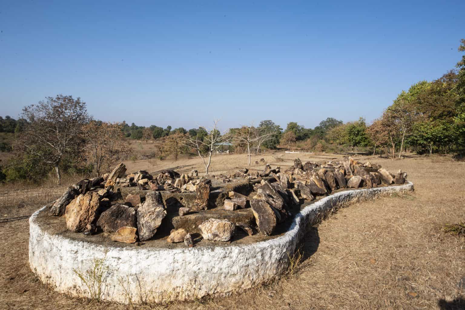the Spectacular Ghughua Fossil National Park -65M Years ago