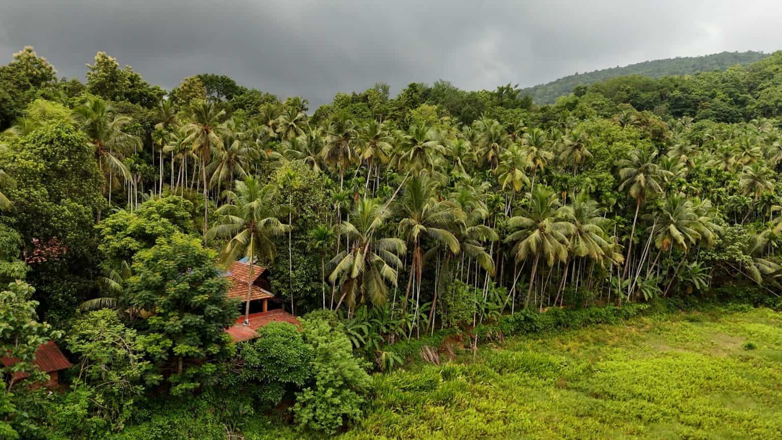Tourism Booms in Goa: Big Growth in Visitors, Jan–June 2025