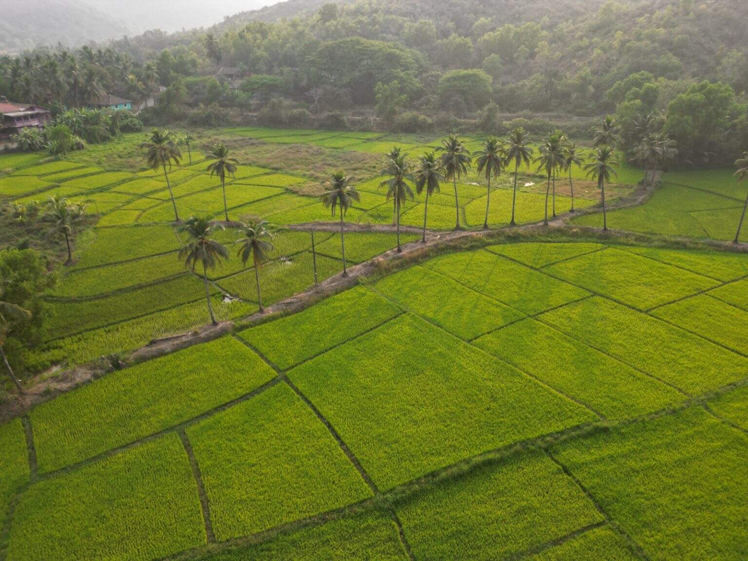 Goa Tourism launches Glow On Arrival Monsoon Campaign