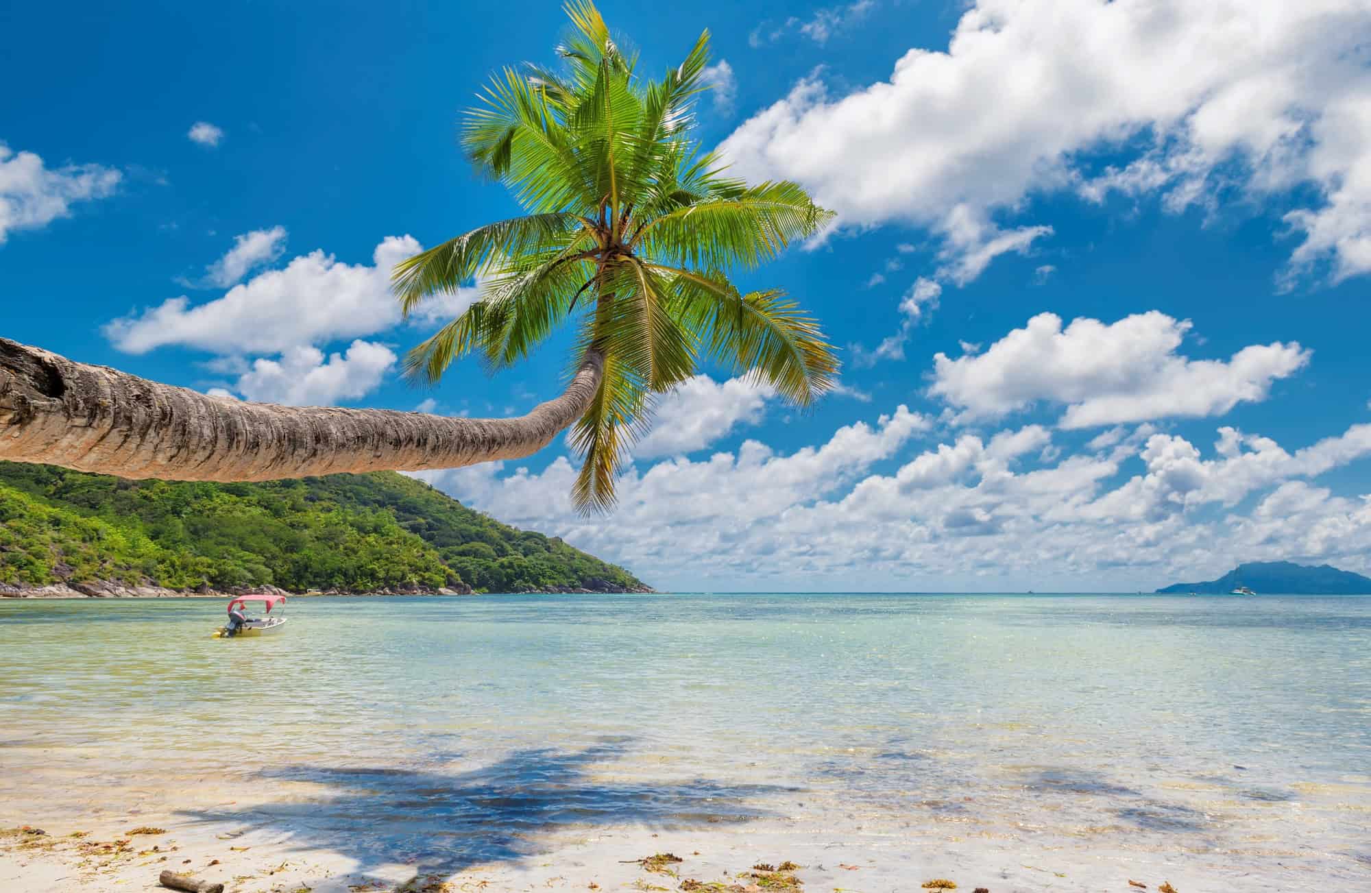 Goa Sees Strong Growth in Tourist Arrivals Over the Years
